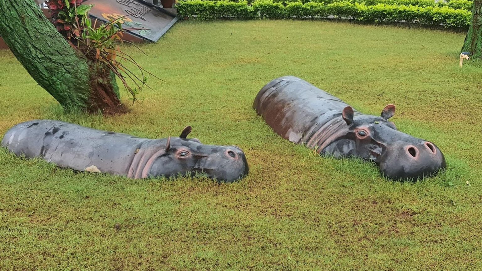 Tensa Nature Camp, Hill Station, Rourkela, Sundargarh, Odisha - Orissa ...