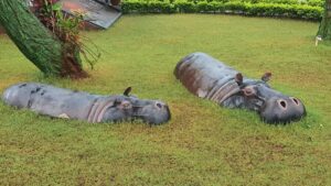 Tensa Nature Camp, Hill Station, Rourkela, Sundargarh, Odisha - Orissa ...