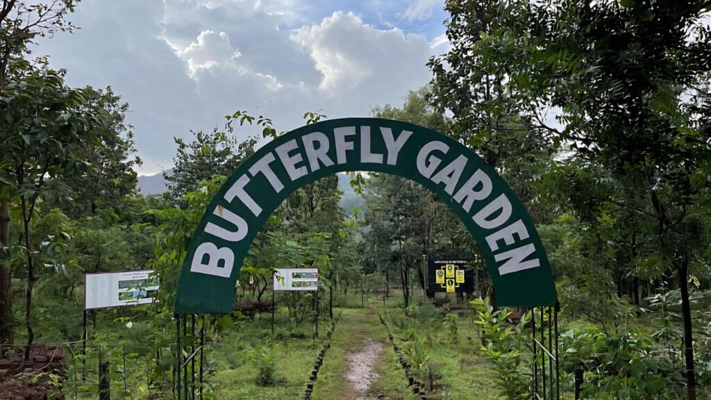 Tensa Nature Camp, Hill Station, Rourkela, Sundargarh, Odisha - Orissa ...