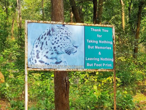 Bharatpur Wildlife Sanctuary, Forest Jungle Safari, Chandaka ...