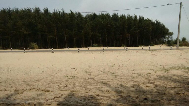 Dagara Sea Beach, Balasore, Odisha - Orissa Tours