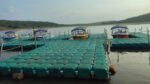 Deras Nature Camp & Dam, Mendhasal, Bhubaneswar, Odisha - Orissa Tours