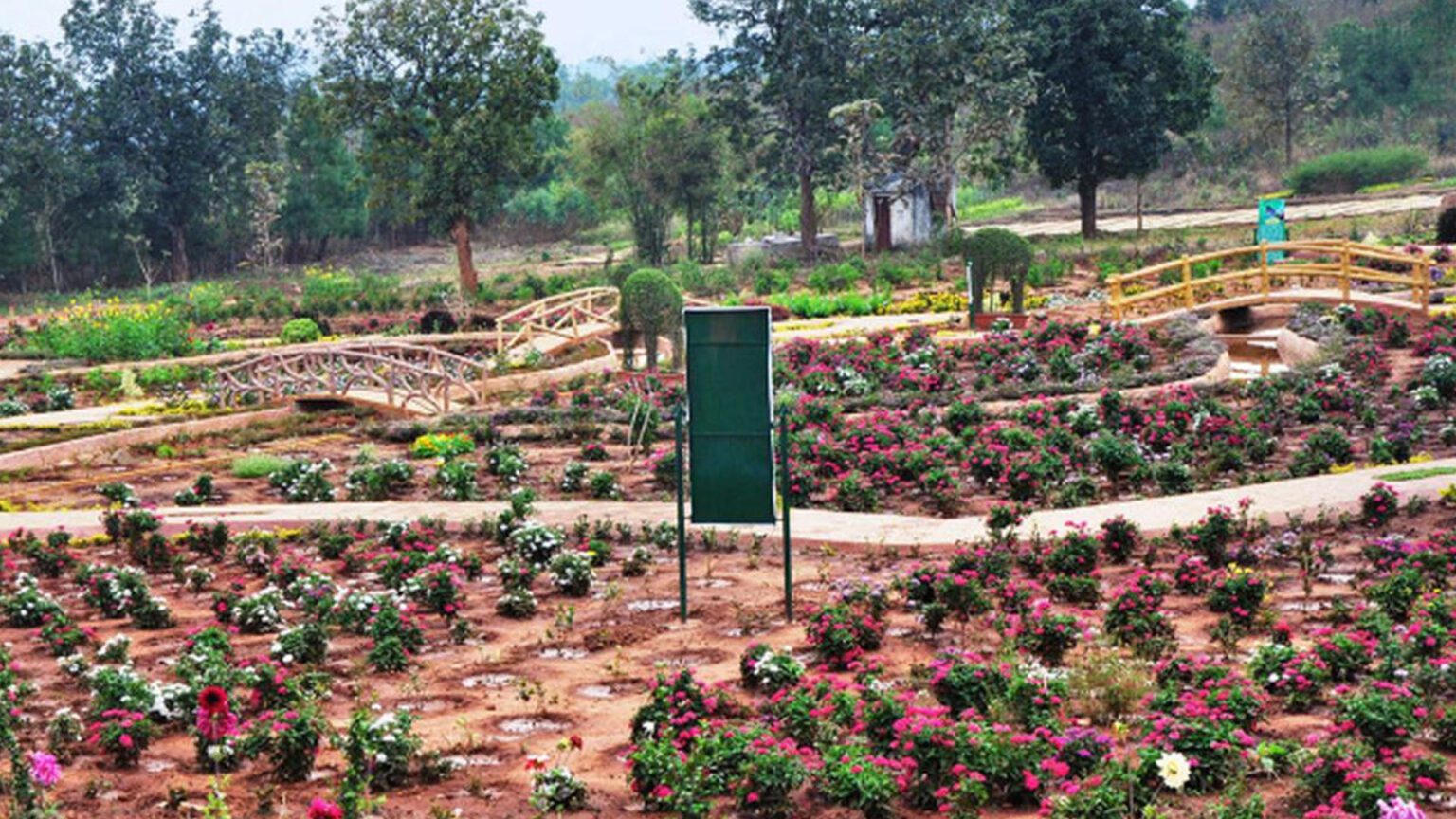 Kandhamal Butterfly Park, Daringbadi, Kandhamal, Odisha - Orissa Tours