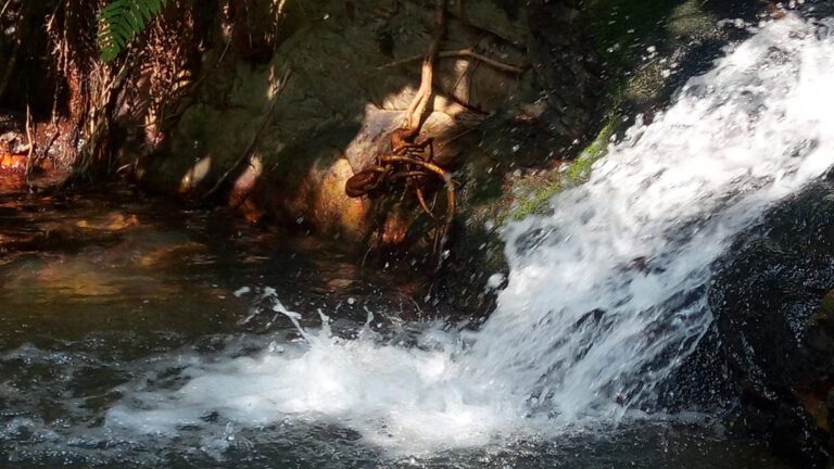 Bariapathara Waterfall, Baria Pathara, Ganjam, Odisha - Orissa Tours