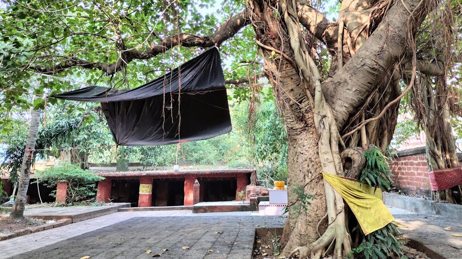 Famous Panchu Pandav Caves, Bhubaneswar, Odisha - Orissa Tours