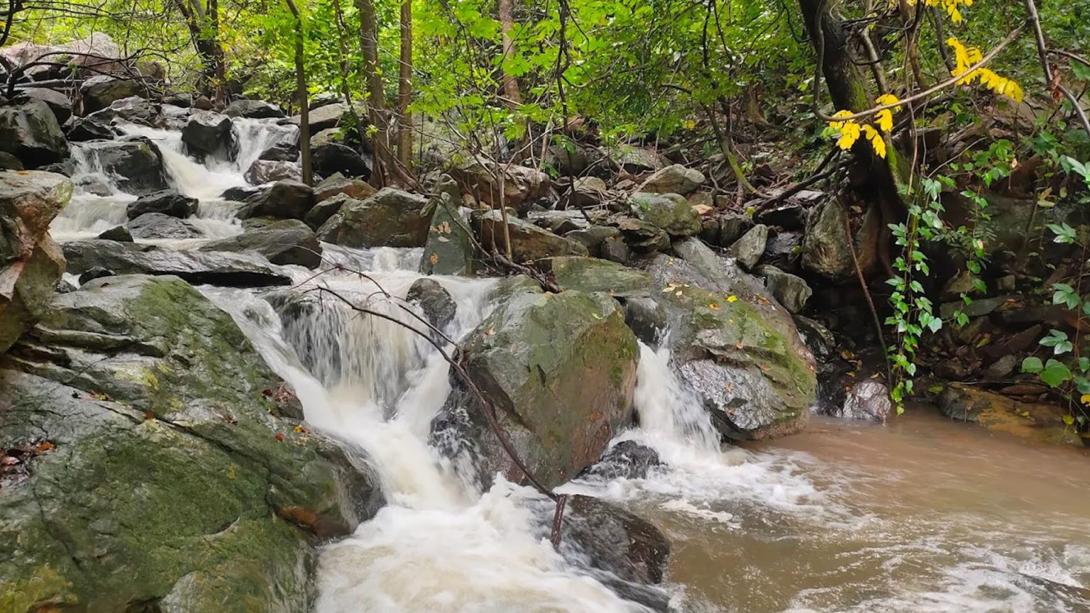 Srabani waterfall, Nayagarh, Odisha - Orissa Tours