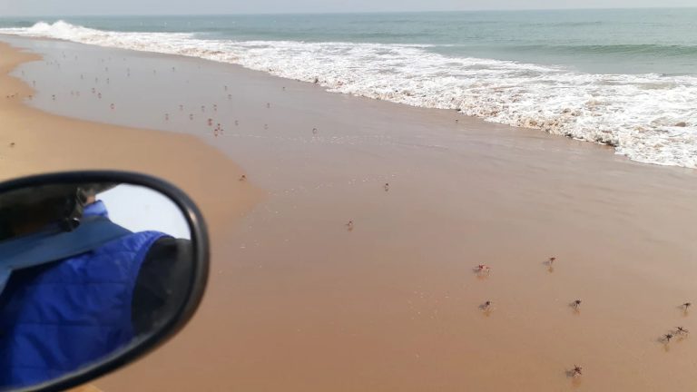 Hukitola Island, Jambu Hukitala, Kendrapara, Odisha - Orissa Tours